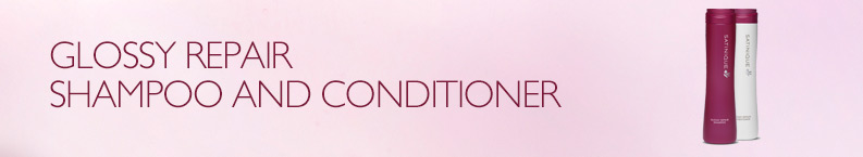 Satinique Logo